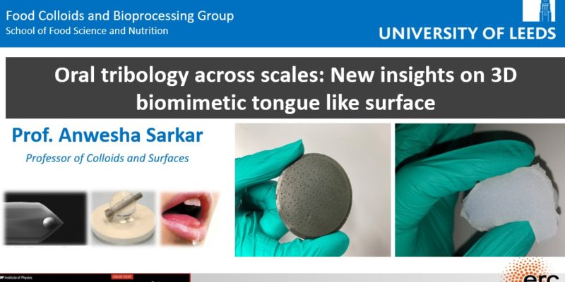 Prof. Sarkar gave an invited talk at the IoP Food Physics Conference ...